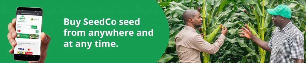 SeedCo Malawi Online Shop
